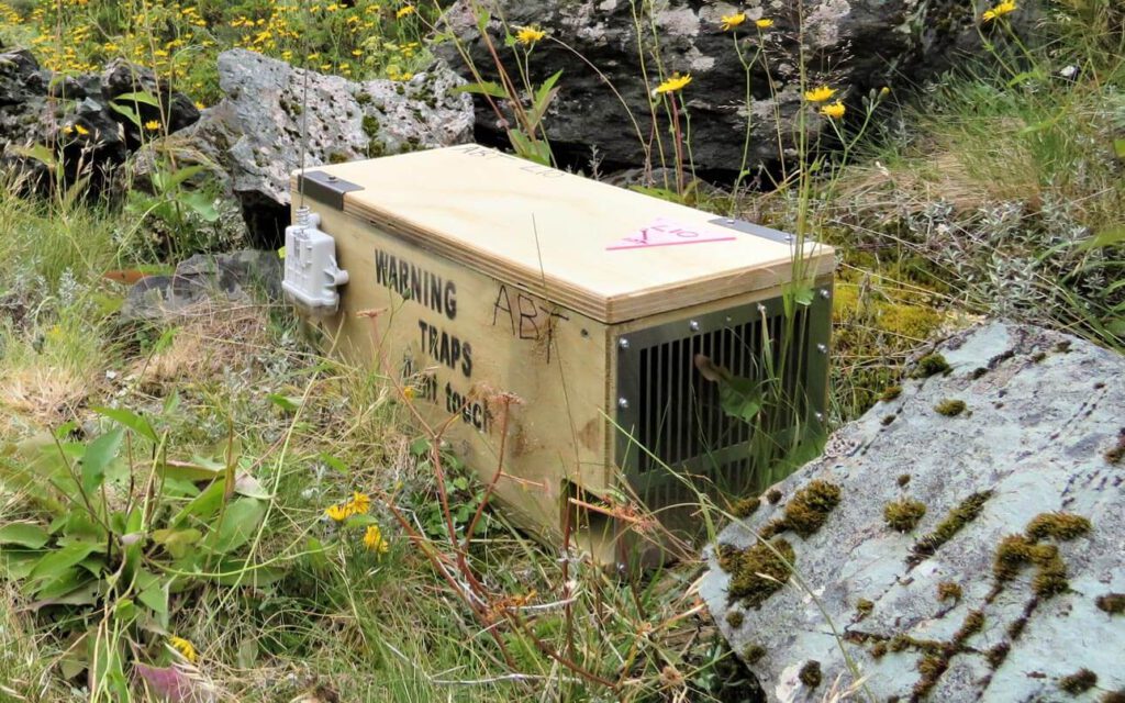 Celium _ Biosecurity - Encounter Solutions