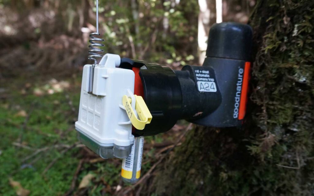 Augmenting traps to optimise volunteer time - Encounter Solutions