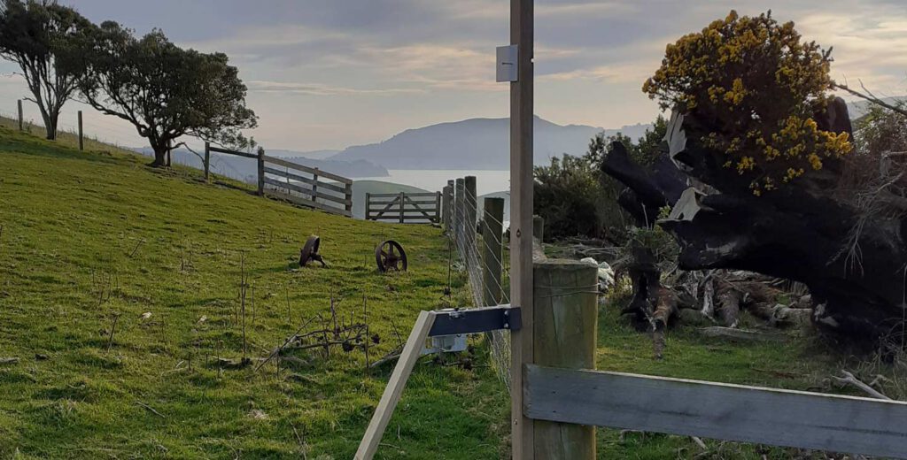 Protecting biodiversity – the smart way - Encounter Solutions