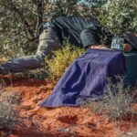 Gallery - Encounter Solutions